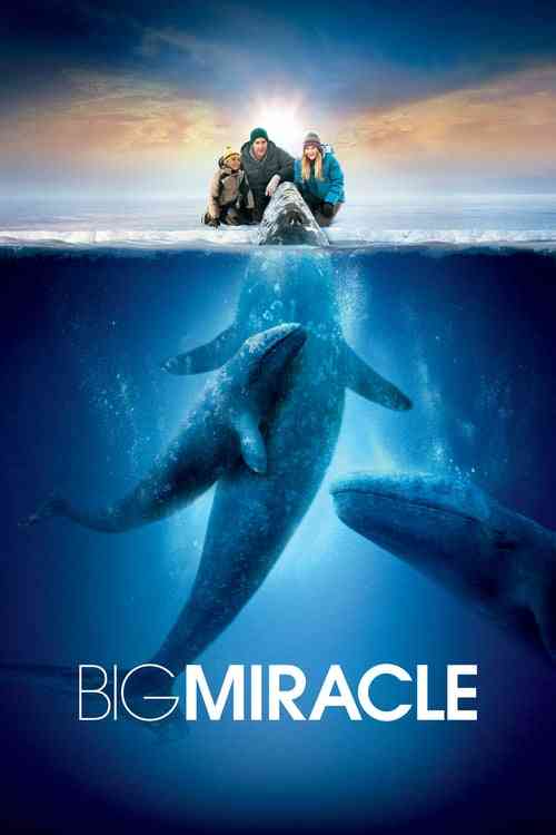 Pin Big Miracle Wallpapers